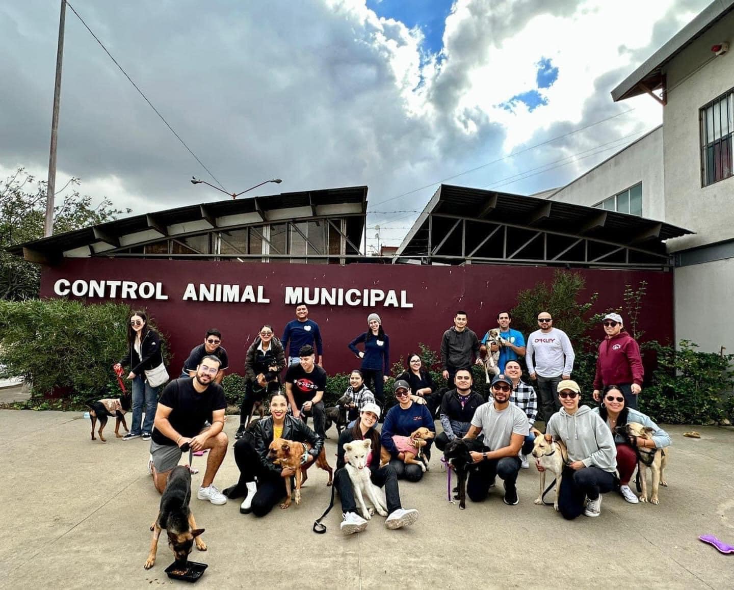 Control Animal Municipal de Tijuana solicita voluntarios - Piolín News TV